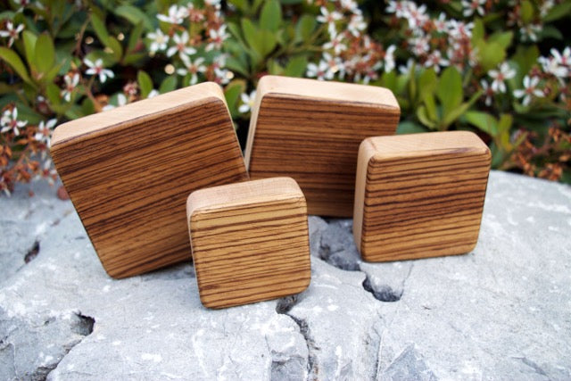 The Zebra Box Shakers Complete - with a Free Case! – Natural Acoustics Lab